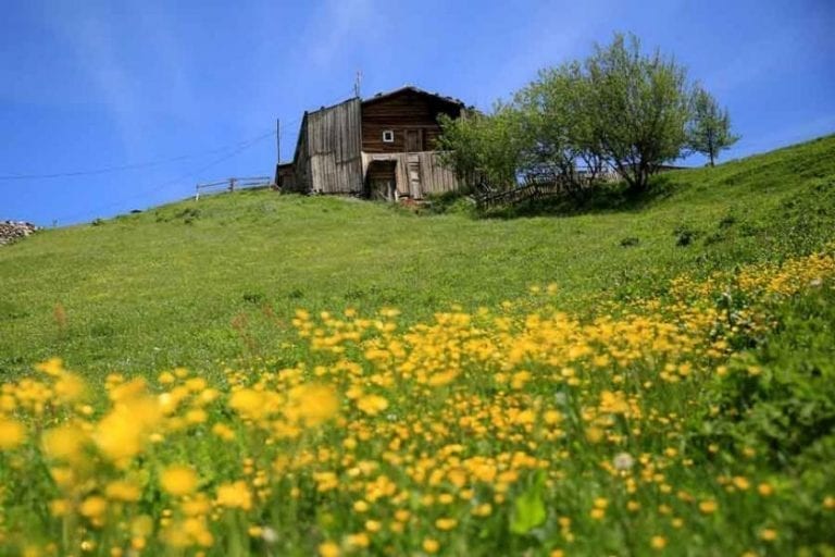 Rize'de Gezilecek Yerler Listesi ⭐️ | En Güzel 69 Yer! | Biletbayi Blog