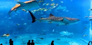 İstanbul Gezilecek Yerler Listesi | En Güzel 210 Yer! | Biletbayi Blog