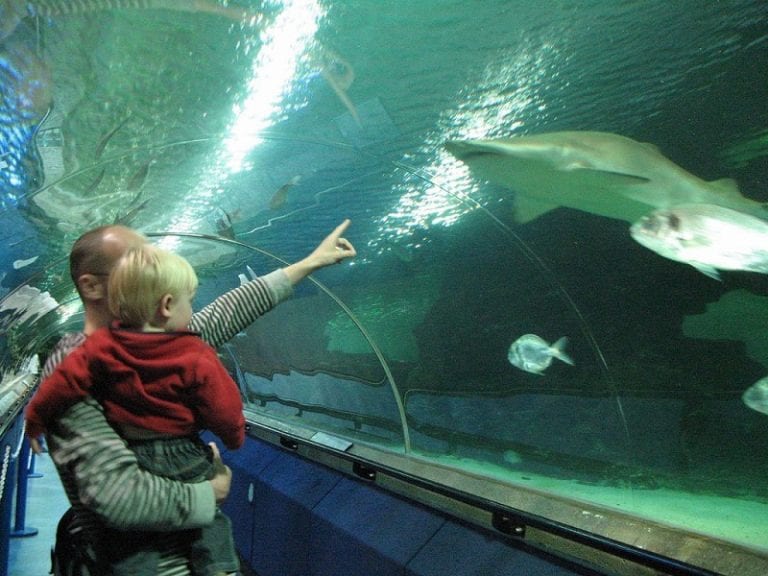 Edinburgh Gezilecek Yerler Listesi | En Popüler 37 Nokta! | Fixbilet Blog