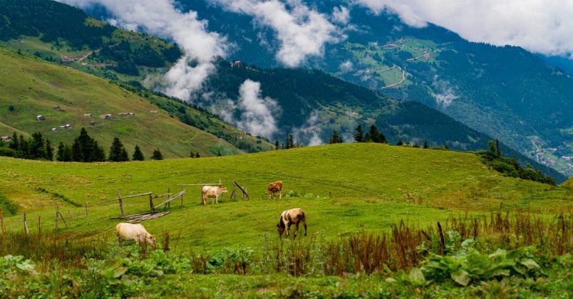 Trabzon'da Gezilecek Yerler Listesi | En İyi 84 Yer! (Detaylı ...